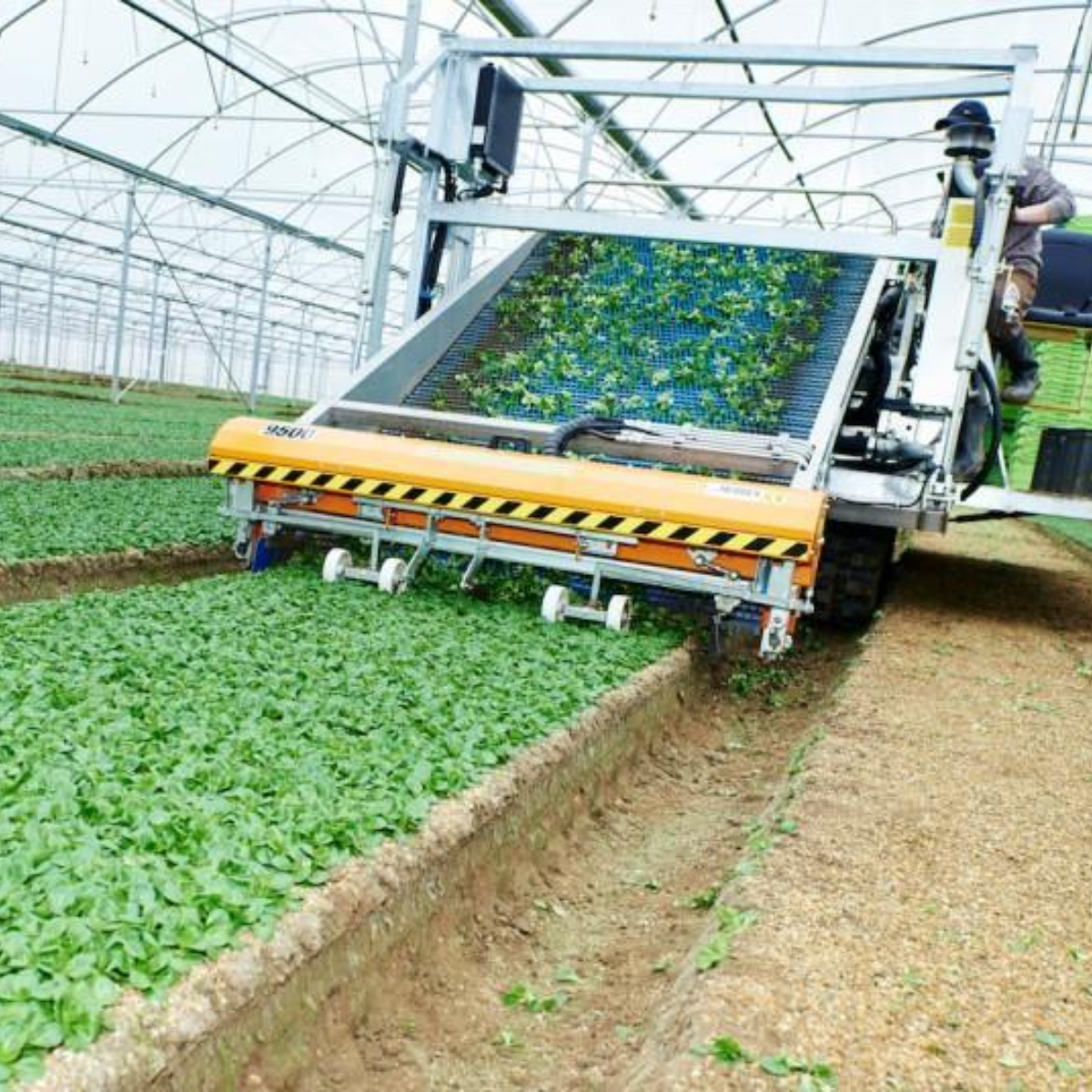 Voltage Optimisation in Food Manufacturing | Powerdown220